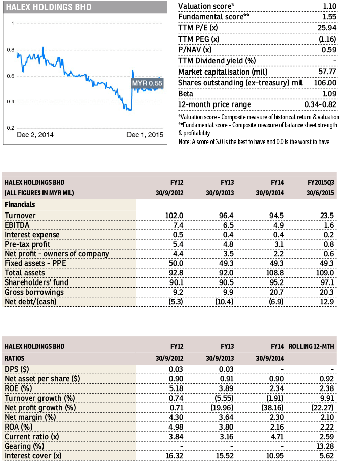 Stock With Momentum: Halex Holdings